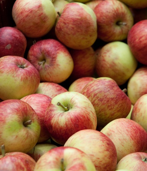 Chillies | Out of my shed